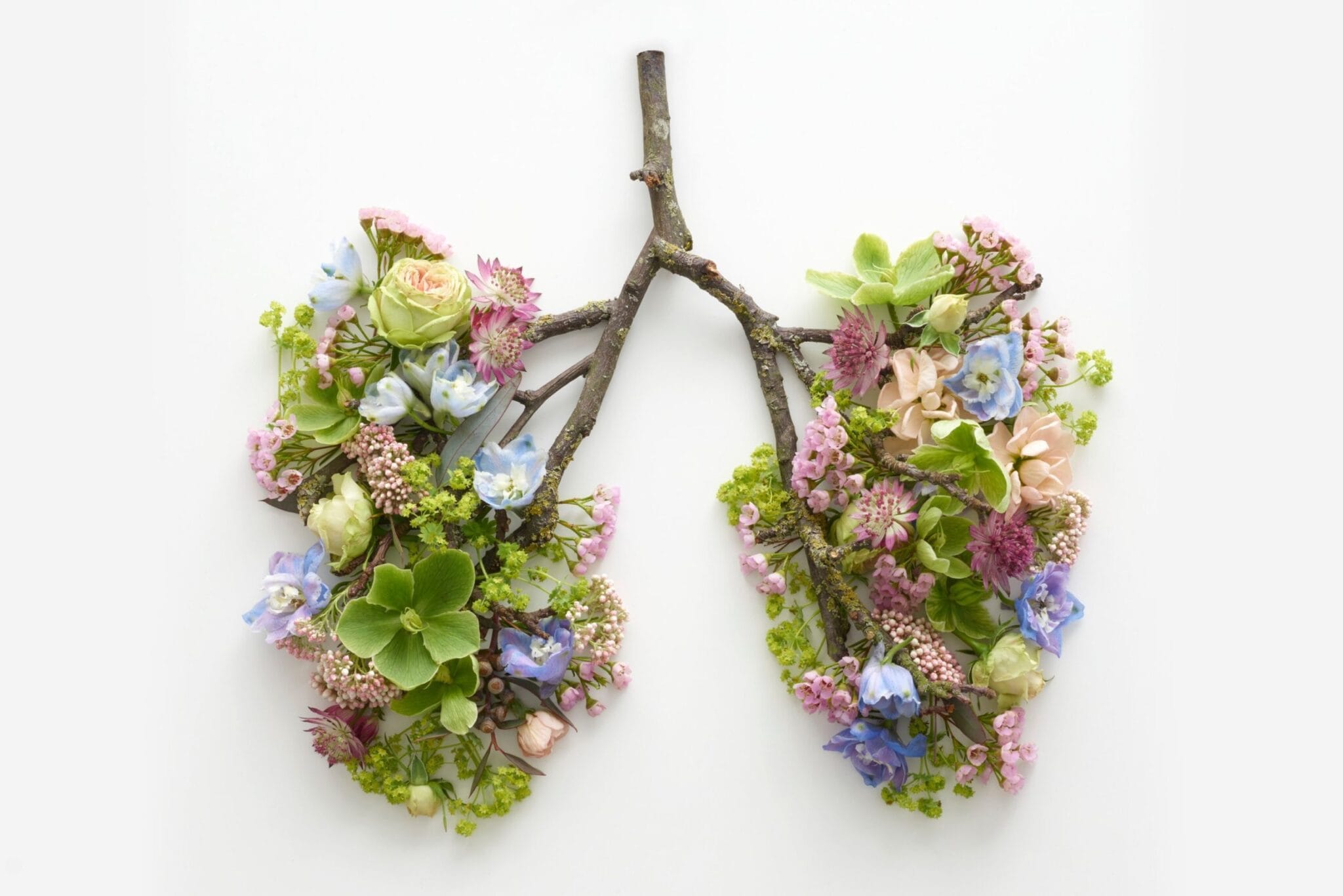 Anaerobic Respiration Explained in Plants and Fungi